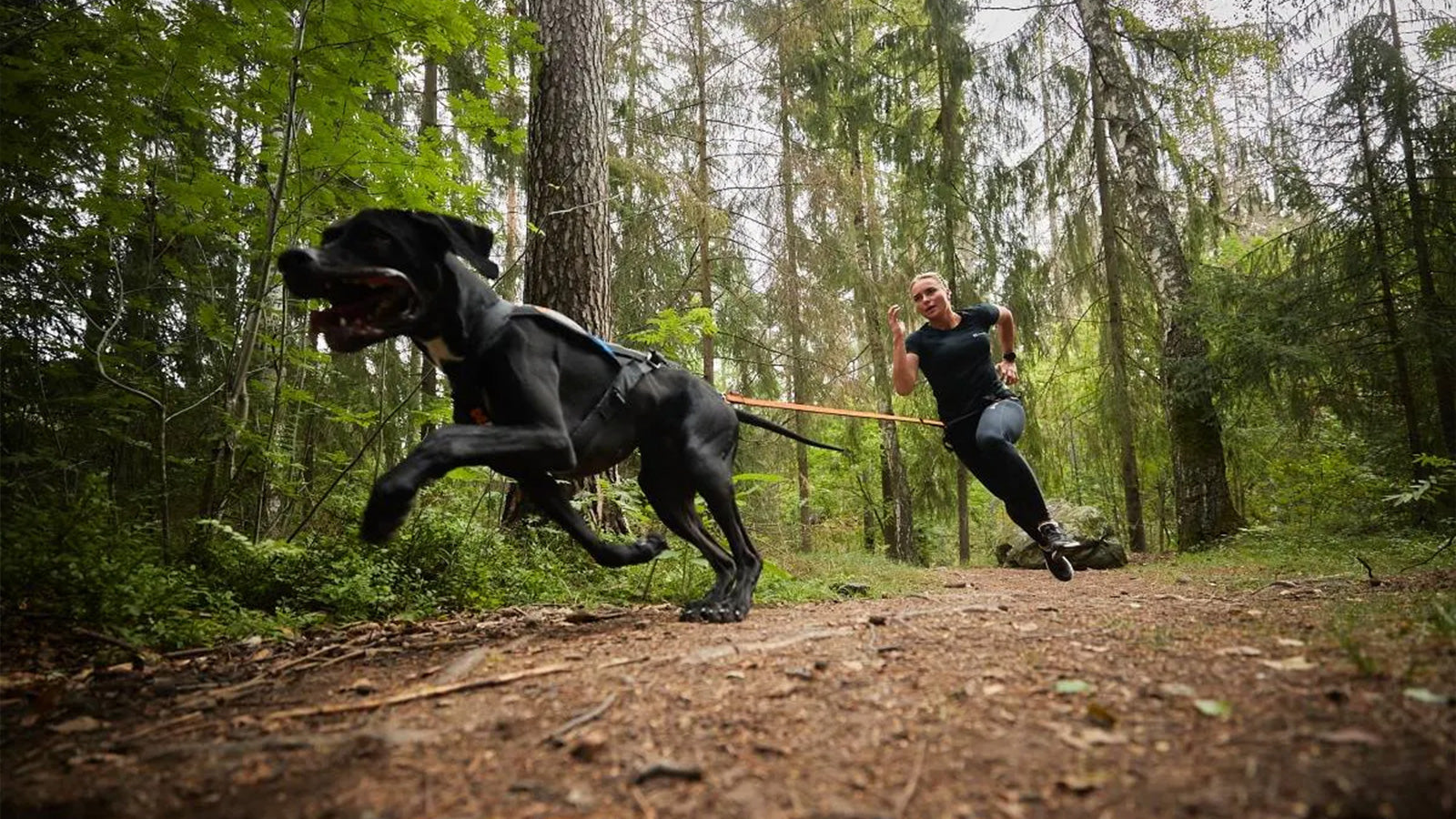 What is Canicross? – Human & Pets